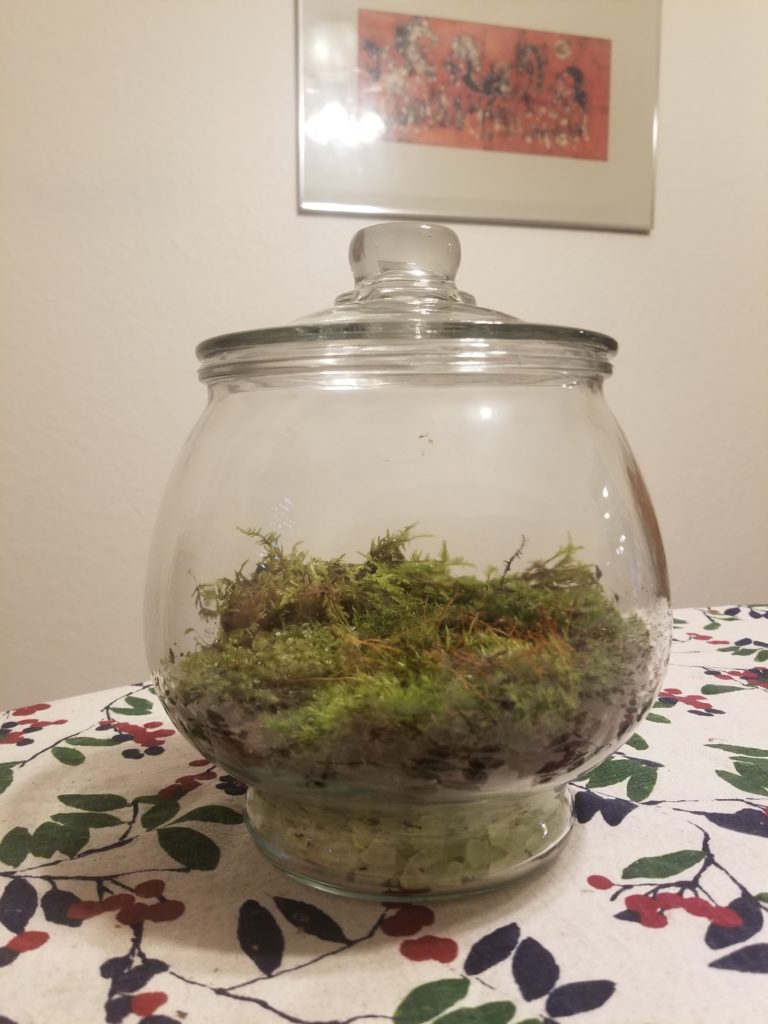 Hallowiggles 2019: DIY Cemeterrarium – Geek Girl Pen Pals